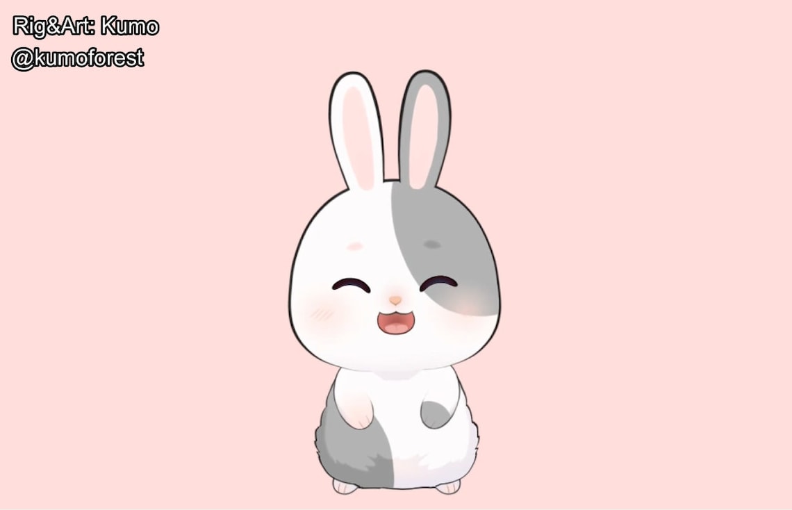 Chibi Rabbit Vtuber Fully Rigged Live2d Model - Etsy Australia