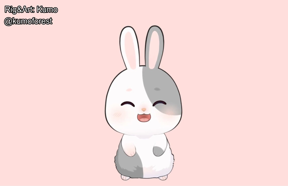 Chibi Rabbit Vtuber Fully Rigged Live2d Model - Etsy