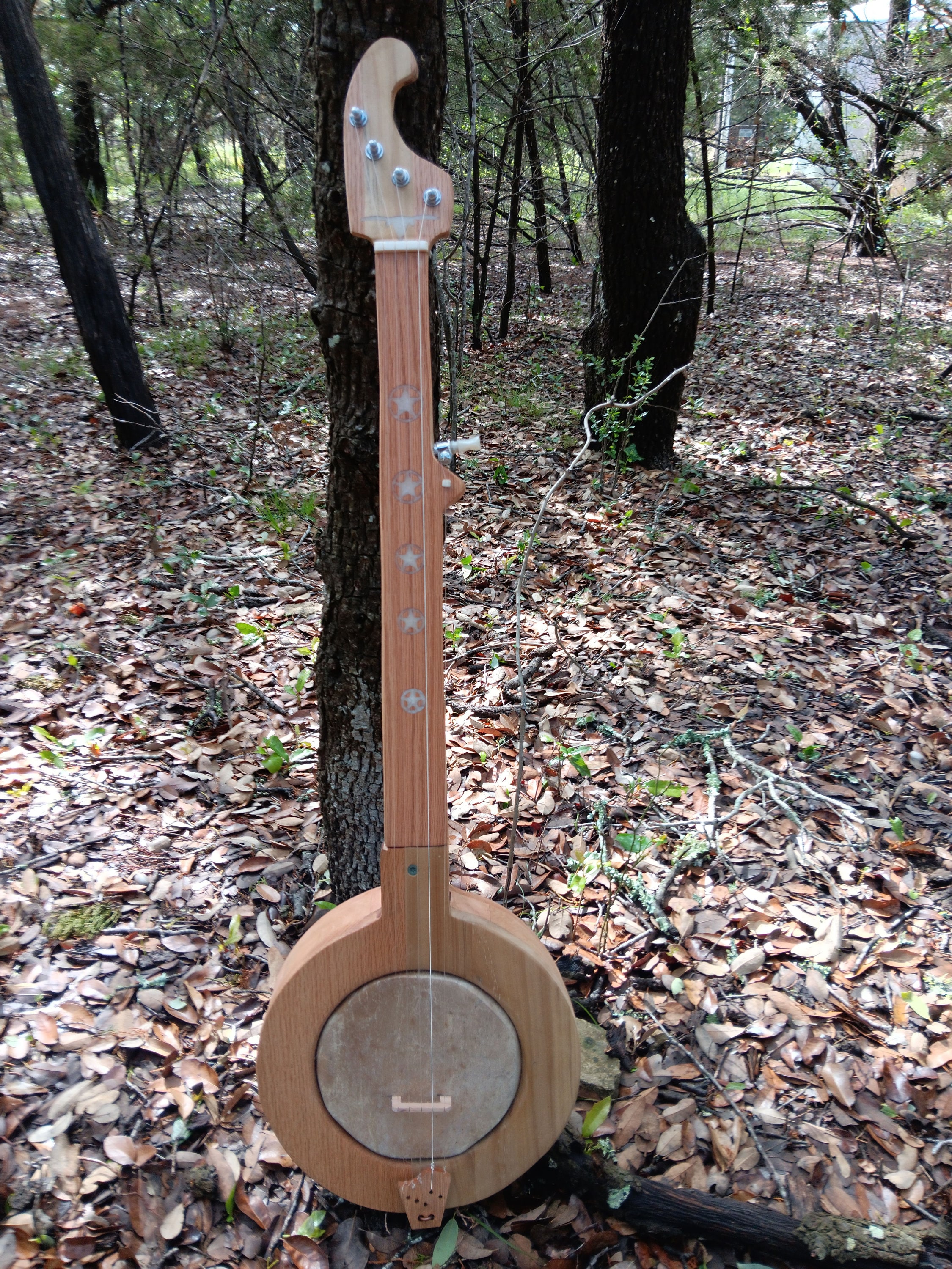 Custom Mountain Banjo - Etsy