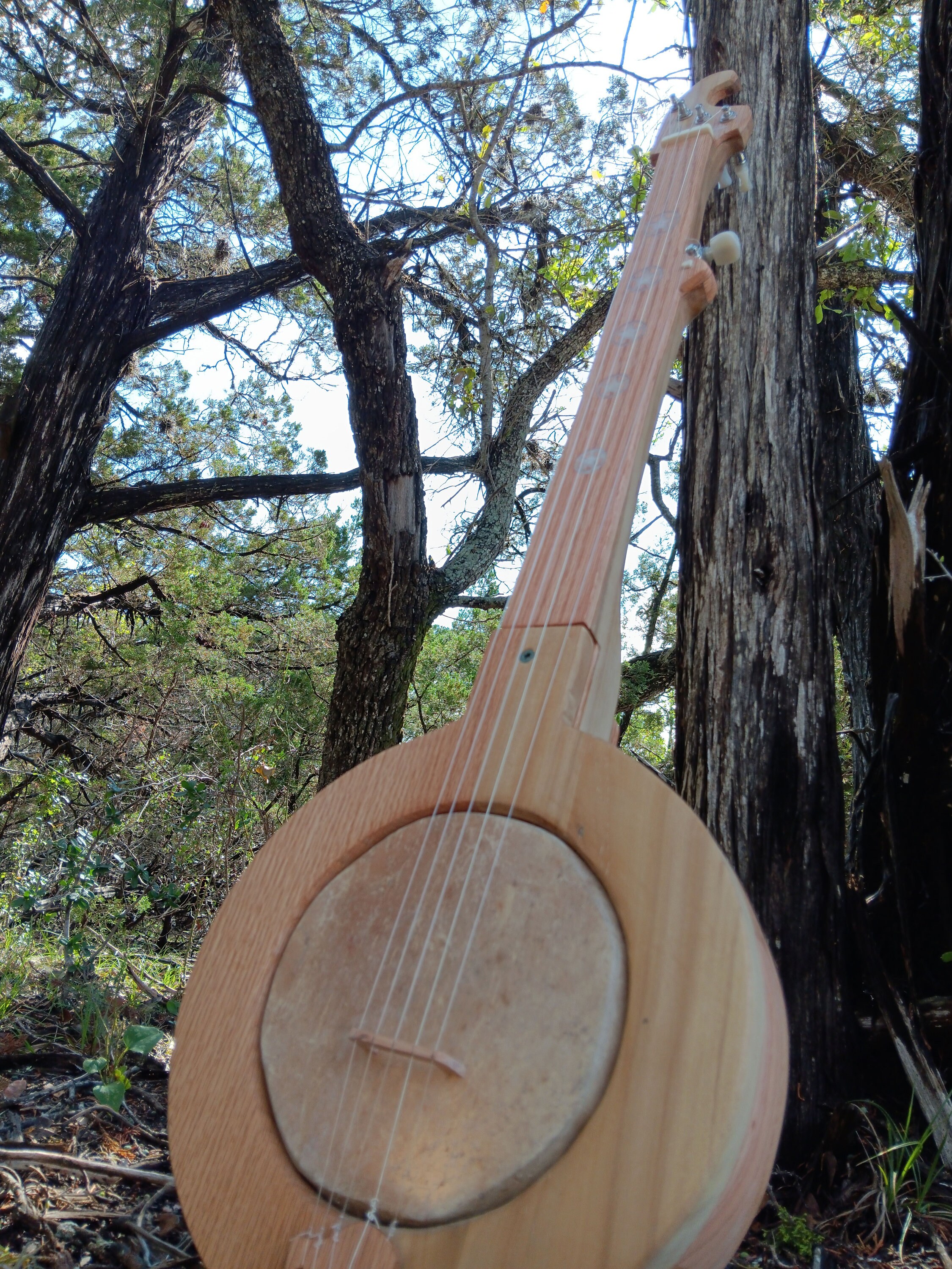 Custom Mountain Banjo - Etsy