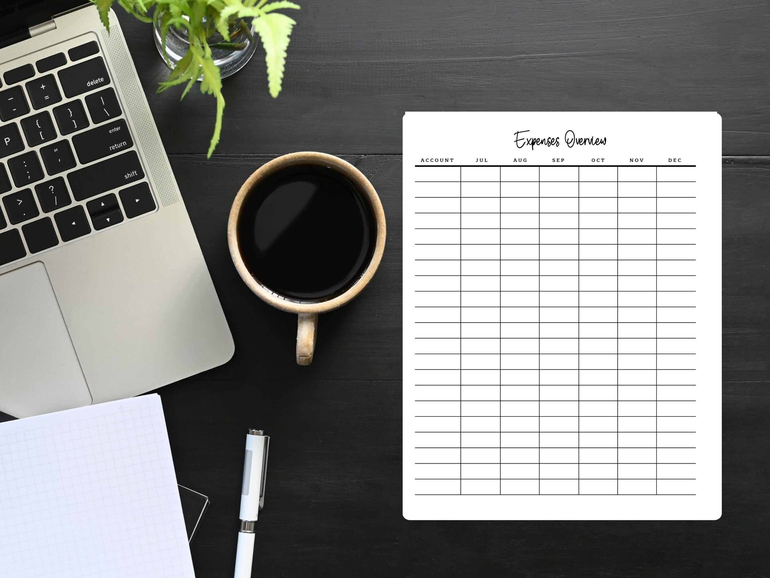 Expense Overview Tracker | Expense Overview Printable | Printable ...