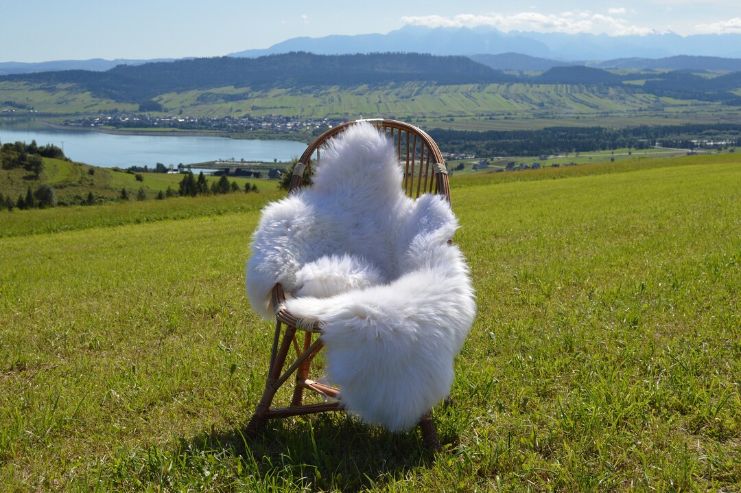 Genuine Natural Creamy White Sheepskin Rug, Pelt, Carpet, Giant ...