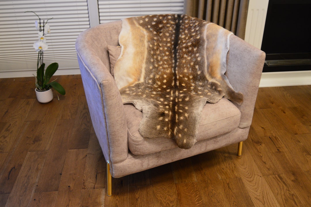 European Fallow Deer Hides 100% Natural Size Skin Hide Rug, Prime ...