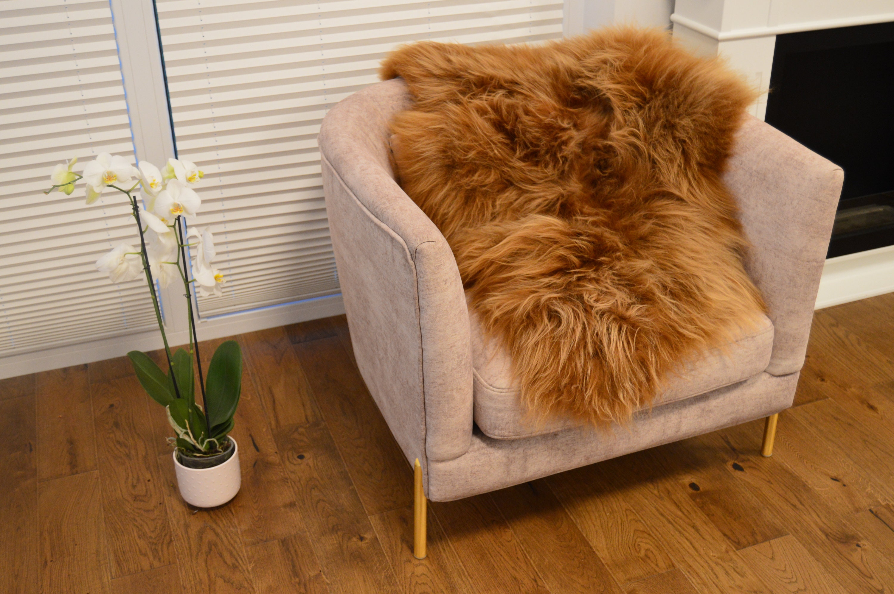 Genuine Icelandic GOLD Sheepskin Rug, Pelt, Carpet, Giant Sheepskin Rug ...