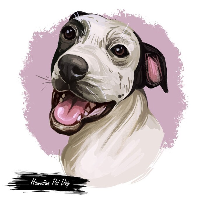 Hawaiian Poi Svg - Etsy