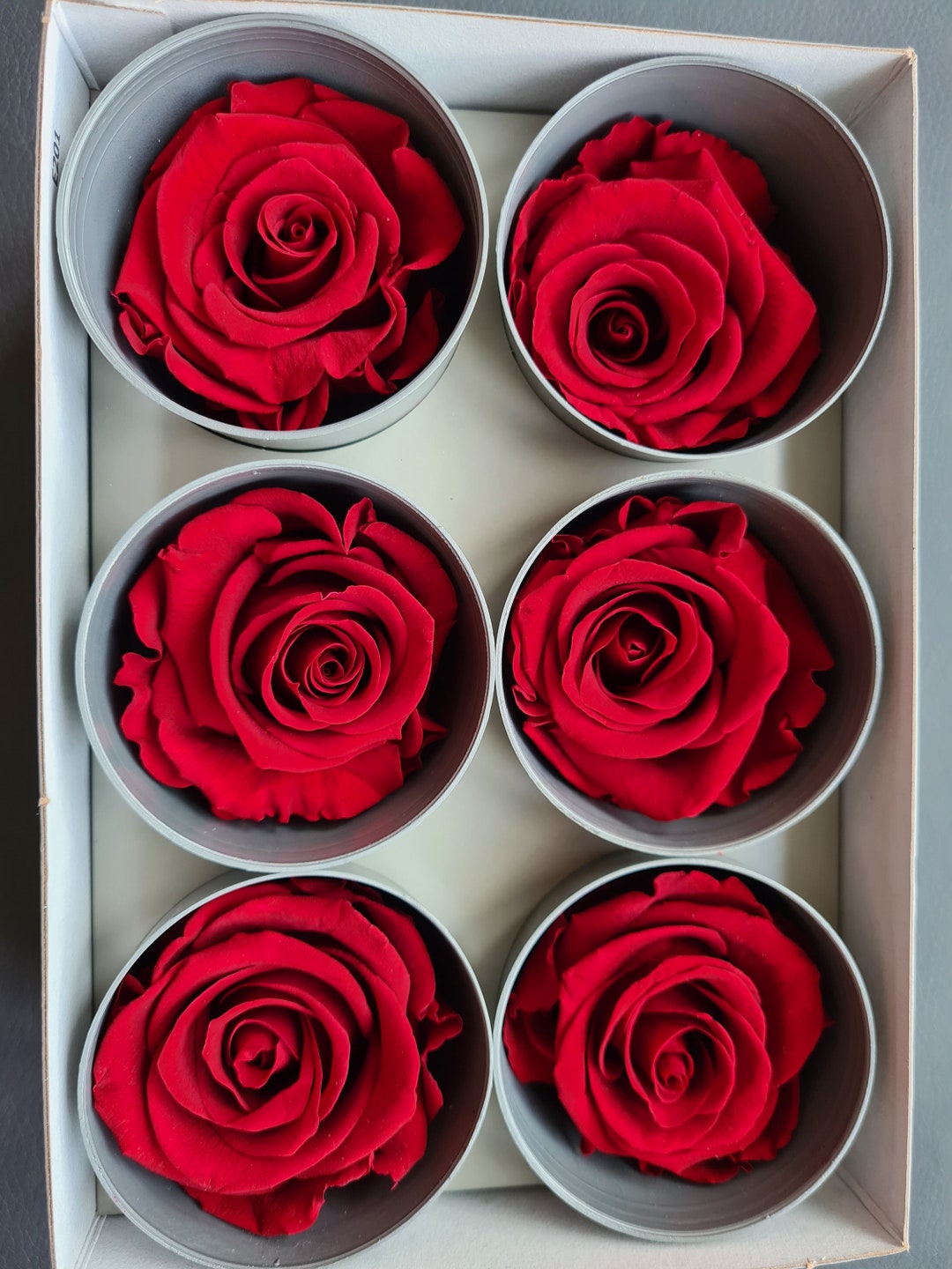 Preserved Roses Sleeping Roses Stabilized Roses Dried Roses Yellow Red ...