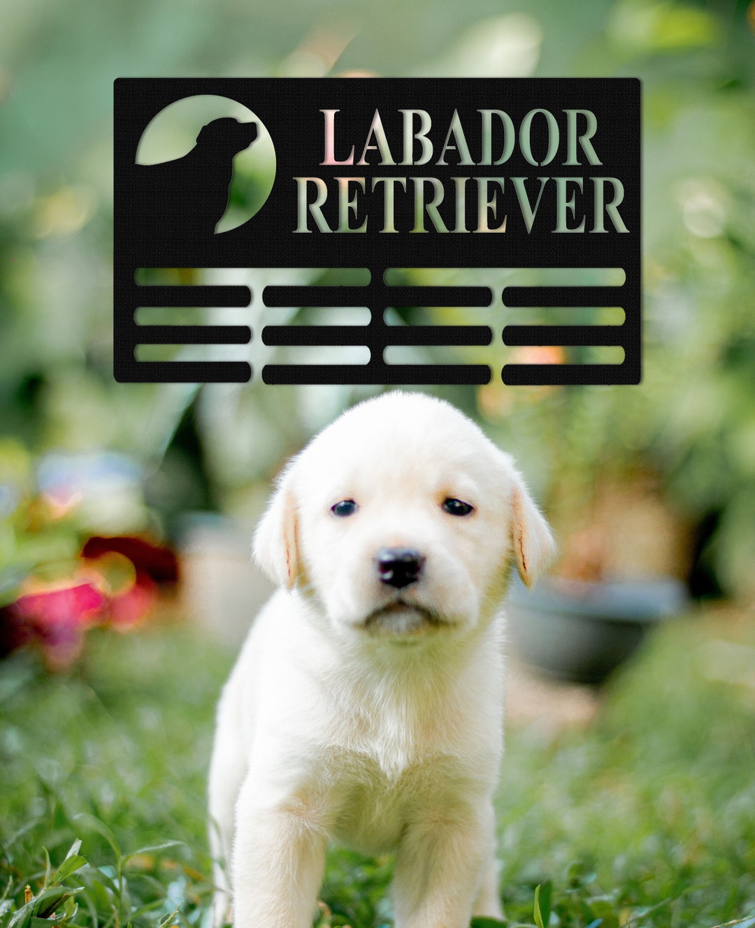 Pet Award Medal Hanger,custom Labrador Retriever Medal Hanger,12 Rungs ...