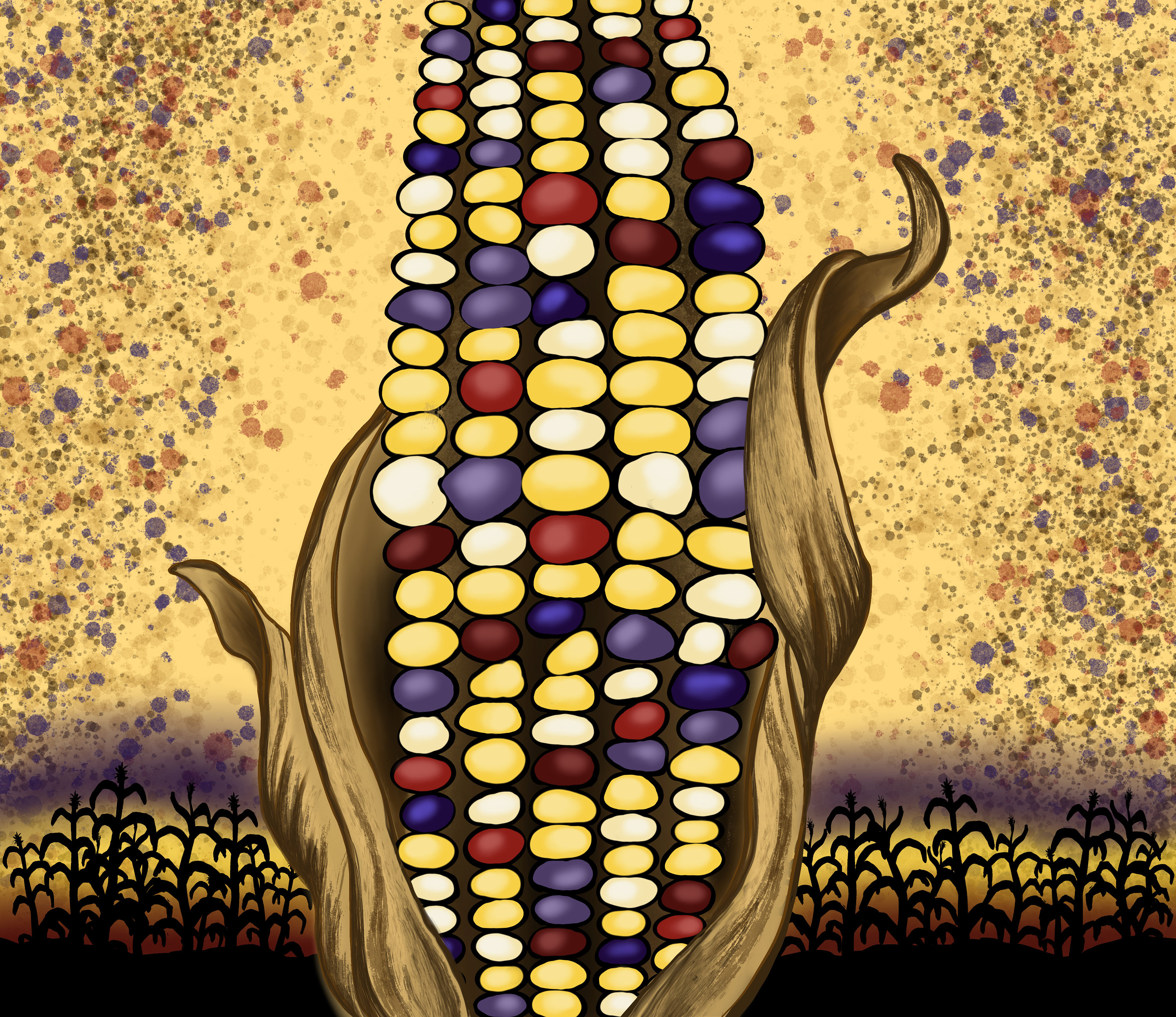 Indian Corn Background