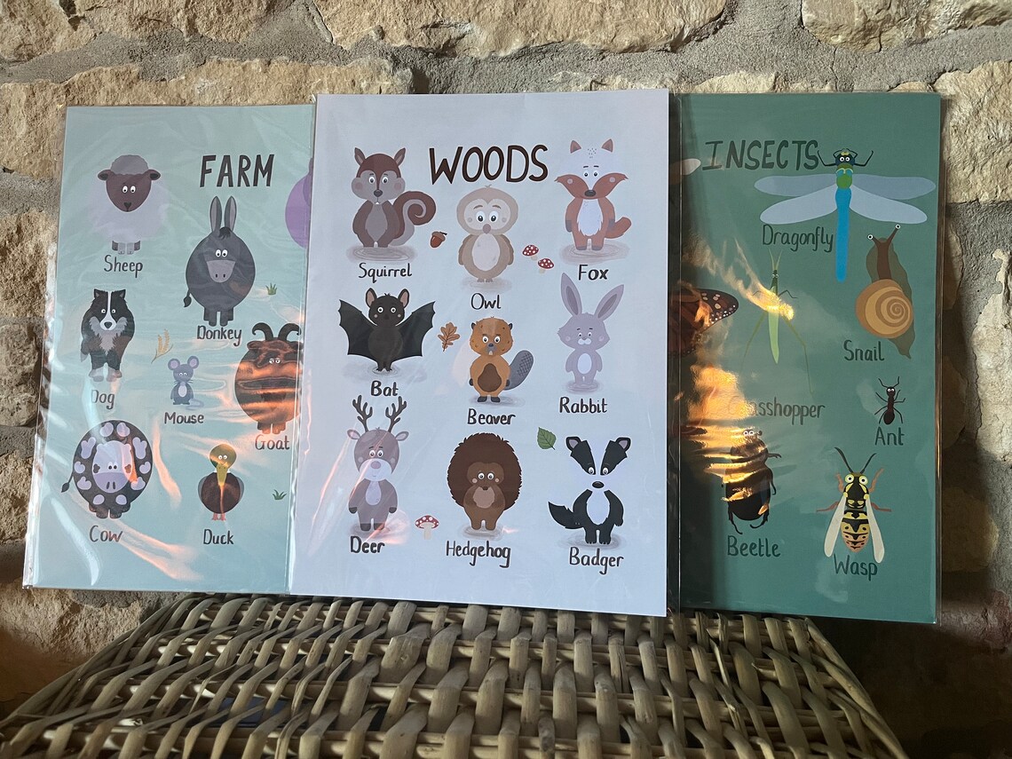 Insects Illustrated Art Print A4 Size Frame Not Included - Etsy