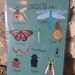 Insects Illustrated Art Print A4 Size Frame Not Included - Etsy