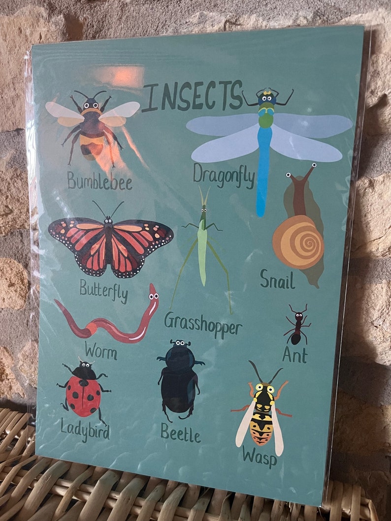 Insects Illustrated Art Print A4 Size Frame Not Included - Etsy
