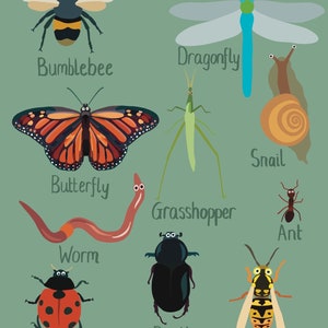 Insects Illustrated Art Print A4 Size Frame Not Included - Etsy