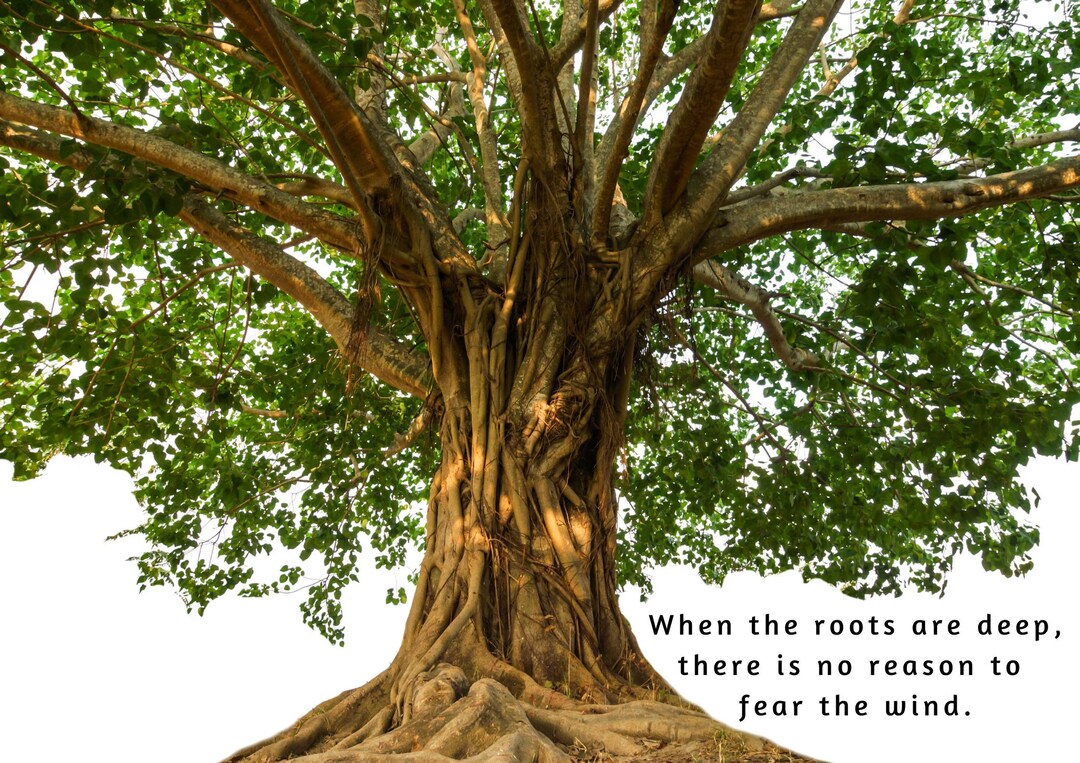When the Roots Are Deep, There is No Reason to Fear the Wind" A4 Size ...