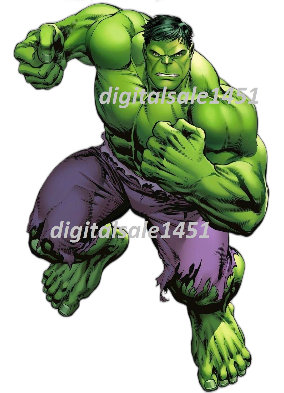 Hulk png hombre gigante hulk png hombre verde descarga - Etsy México
