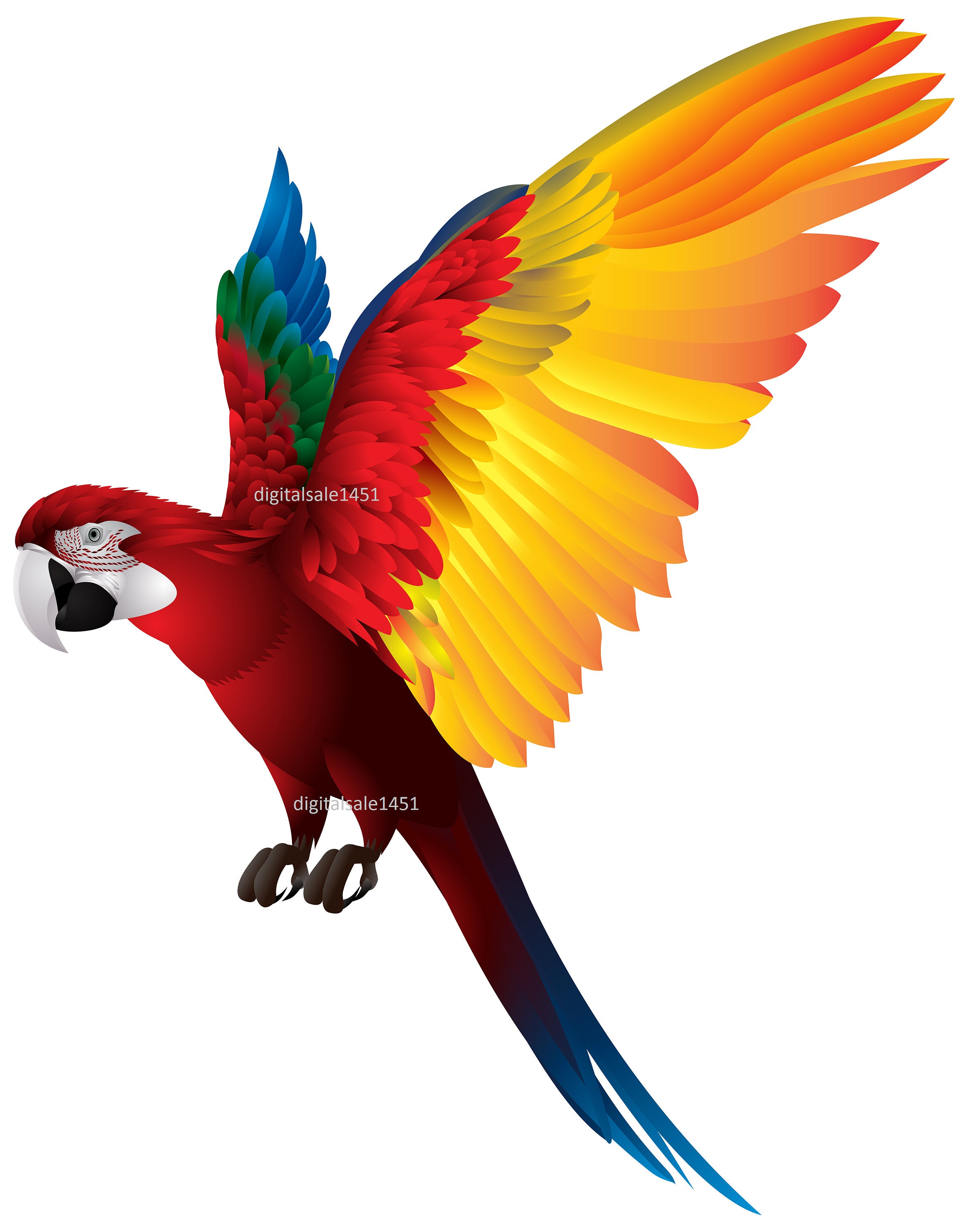 Red Macaw Parrot