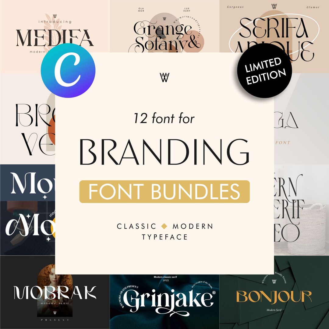 12 Aesthetic Fonts for Branding | Elegant Font Bundle for Logos ...