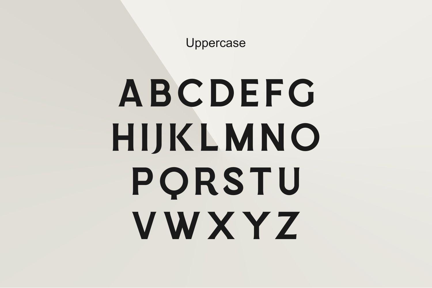 KARLY Bold Luxury Serif Font for Invitations, Branding, Cricut ...