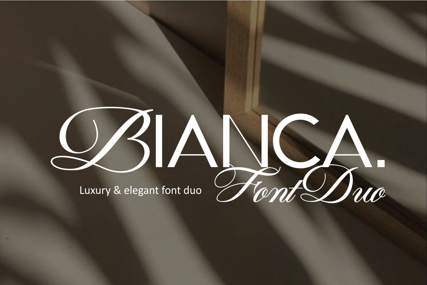 Bianca Elegant Script Sans Serif Font Duo - Etsy