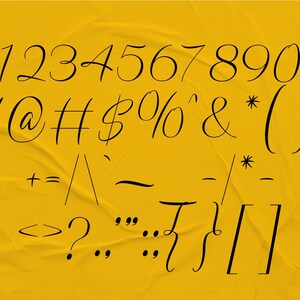 Valencia | Script Tropical Fonts - Etsy