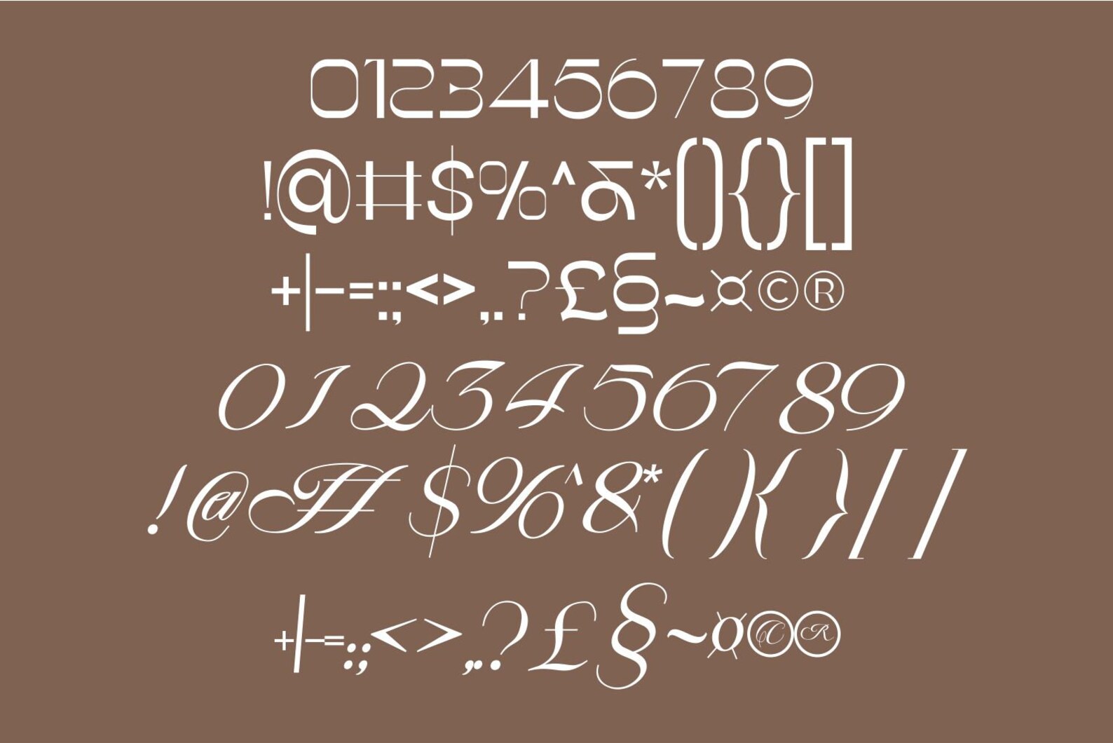 Bianca Elegant Script Sans Serif Font Duo - Etsy