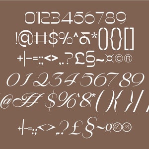 Bianca Elegant Script Sans Serif Font Duo - Etsy