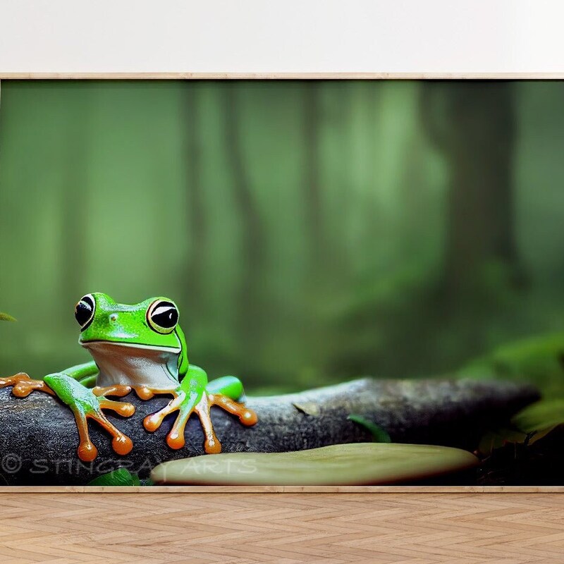 Green Tree Frog - Etsy