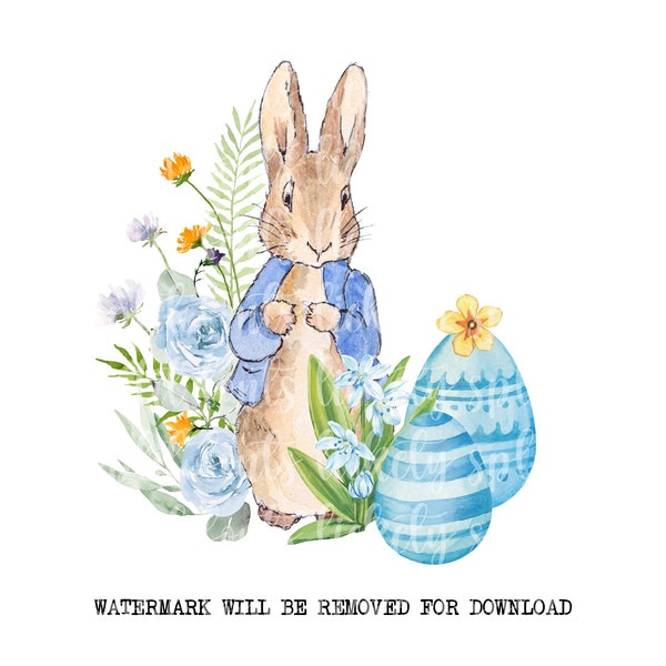 Peter Rabbit Drawing - Etsy