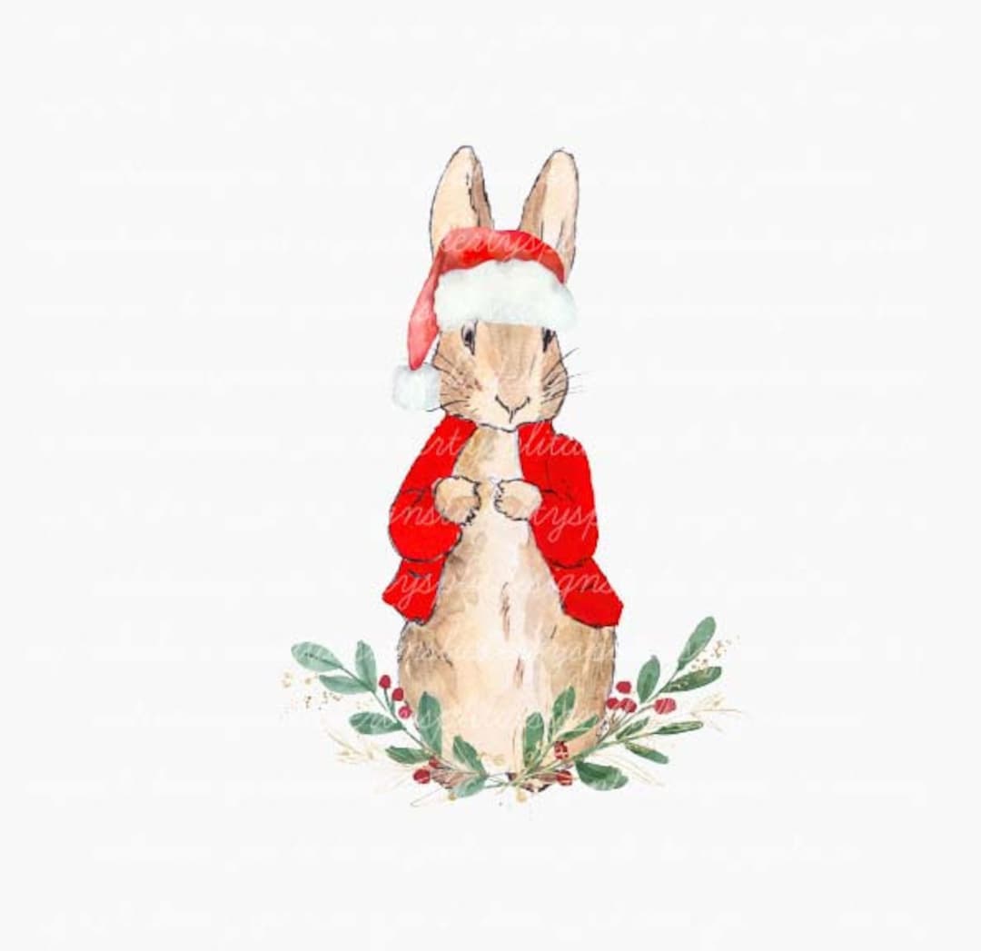 Santa Peter Rabbit, Christmas Clip Art, Santa Sack Design PNG, Red Coat ...