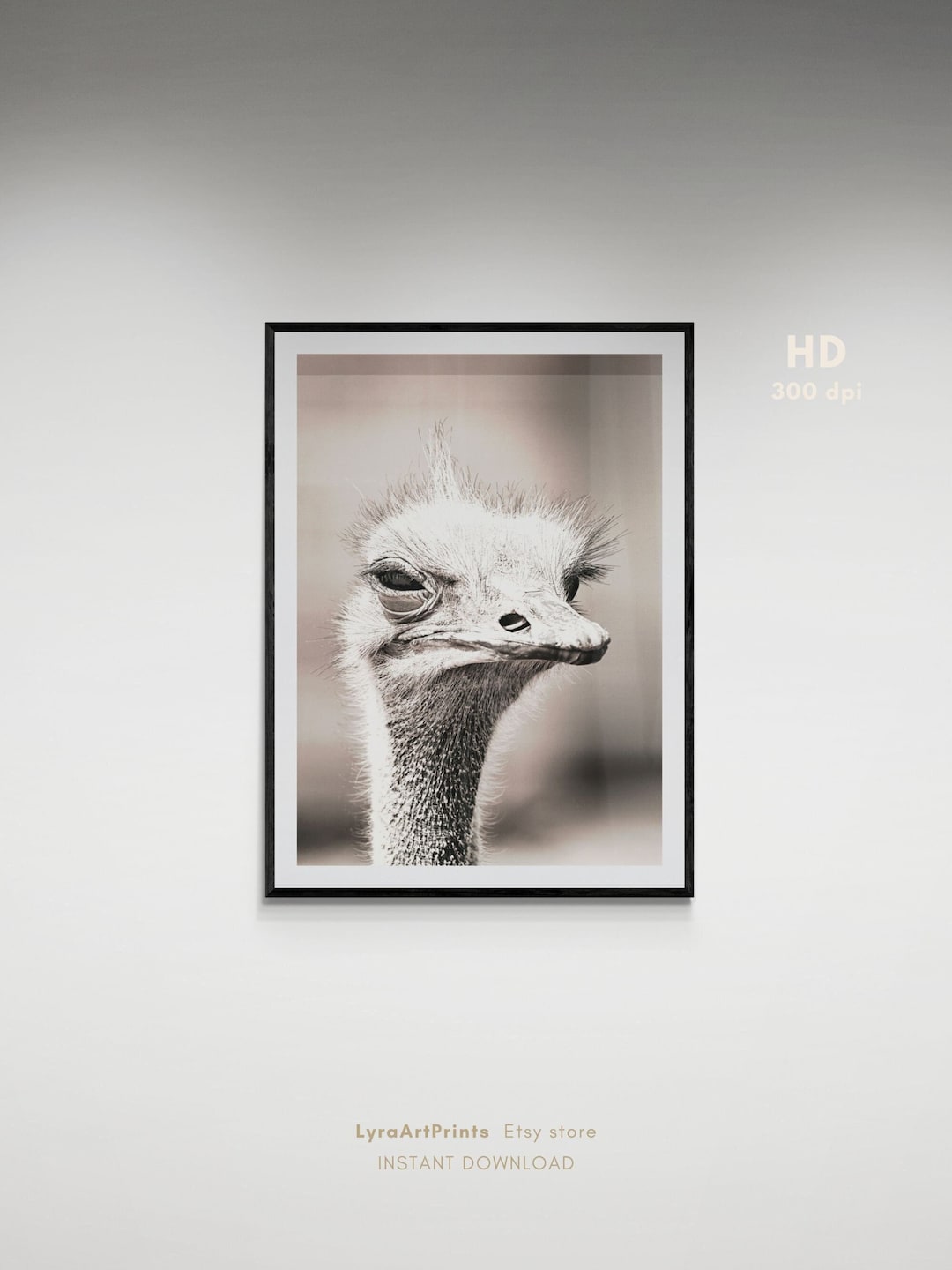 Ostrich Print, Ostrich Wall Art, Animal Wall Decor, Funny Ostrich ...