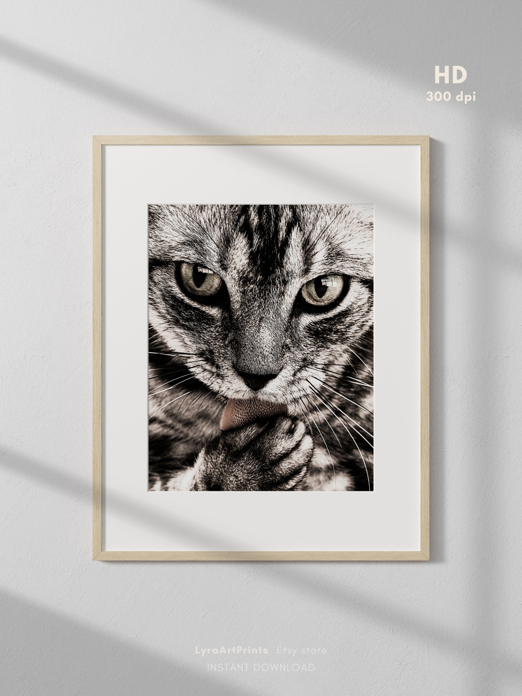 Cute Cat Print Cat Wall Art Animal Wall Decor Funny Cat - Etsy