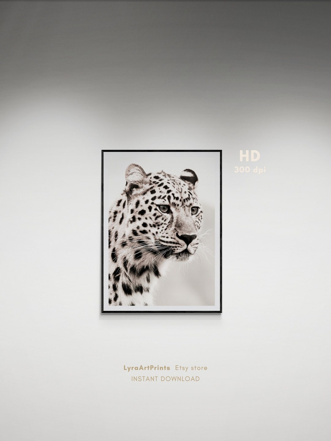 Cheetah Print, Wild Cheetah Photo, Cheetah Wall Art, Wilderness Photo ...