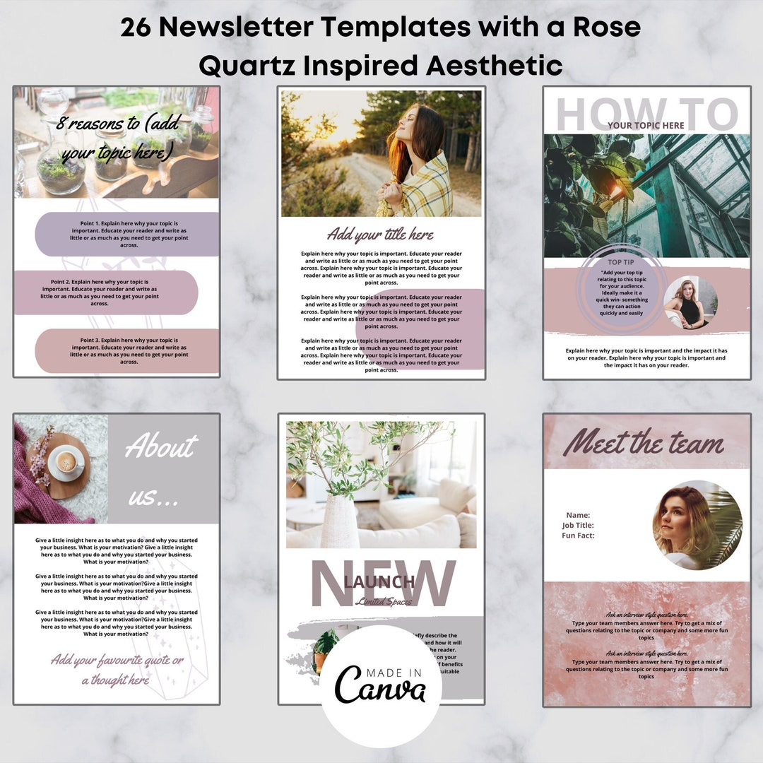 26 Email Newsletter Templates. Rose Quartz Aesthetic. These Are Canva ...
