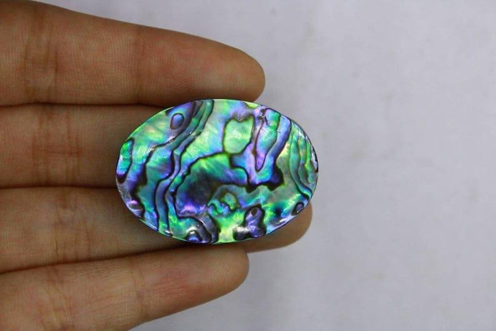 ROYAL Quality Abalone Cabochon Natural Abalone Shell Gemstone for ...