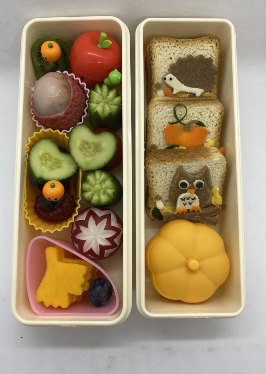 Lunchbox, Brotbox Silicone Mold Silicone Mold Bento - Etsy