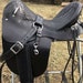 Endurance Leather Saddle Cutback Skirts and Bulkless English Rigging ...