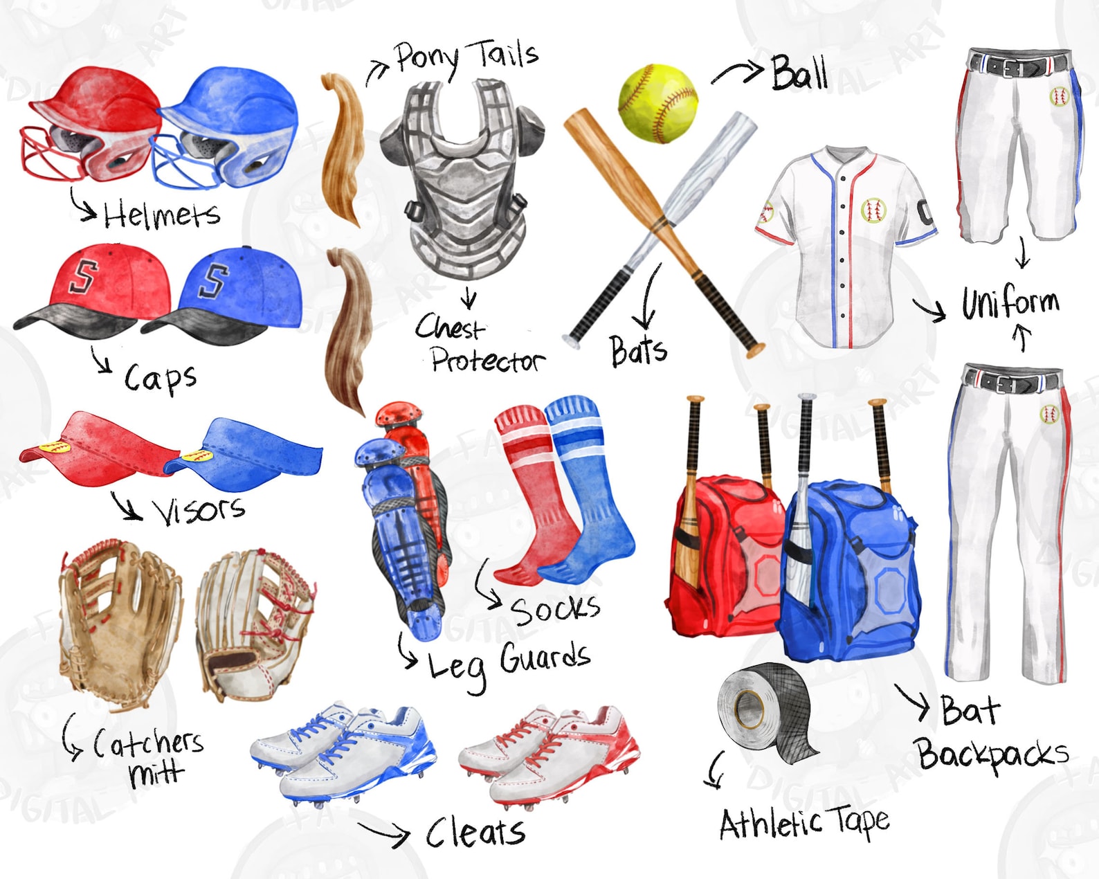 Softball Equipments Png Bundle for Creators 26 PNG Files,watercolor ...