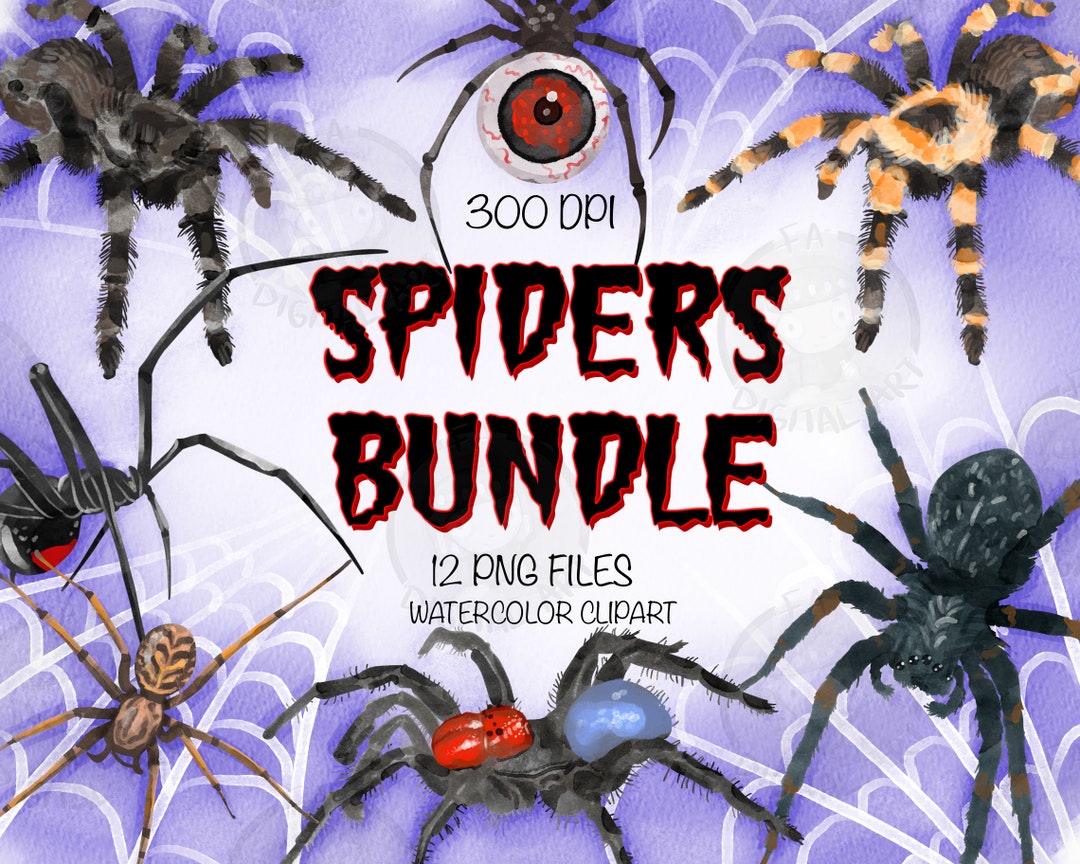 Spiders Png Bundle for Creators 12 PNG Files, Spiders Clipart, Spiders ...