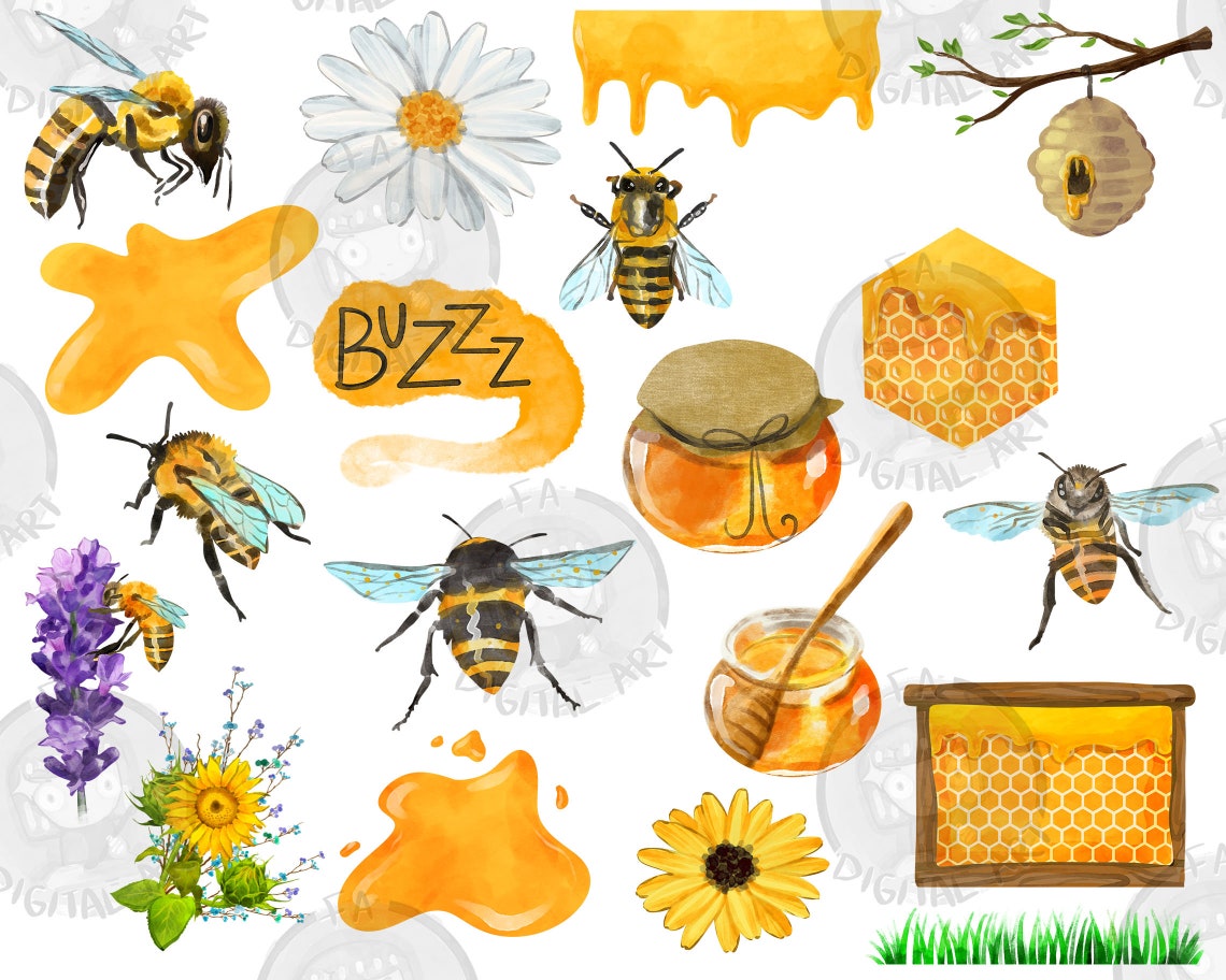 Watercolor Honey Bee Clipart Png Bundle for Creators - Etsy