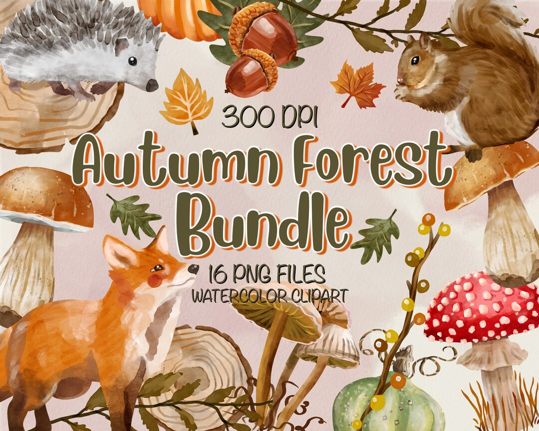 Autumn Forest Png Bundle for Creators, Watercolor Autumn Clipart ...