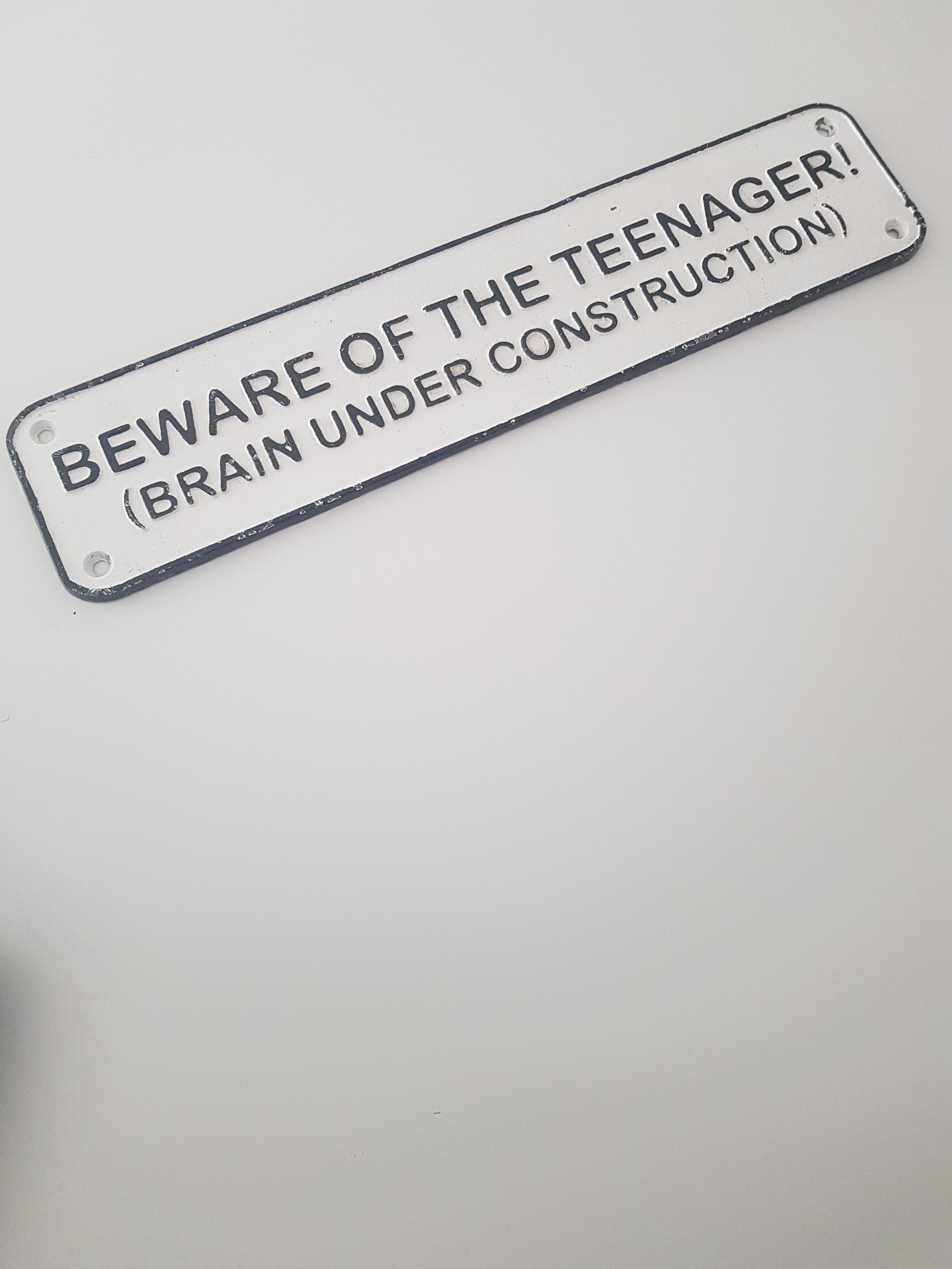 Beware of Teenager Sign - Etsy