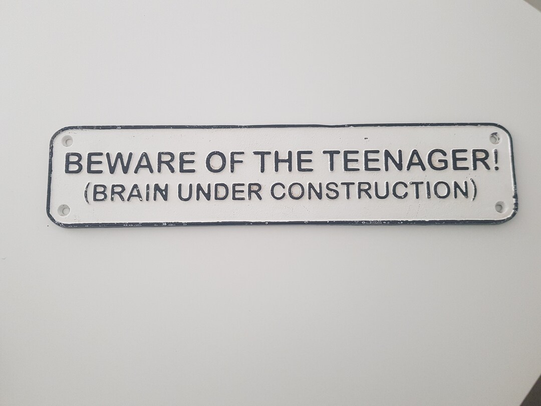 Beware of Teenager Sign - Etsy