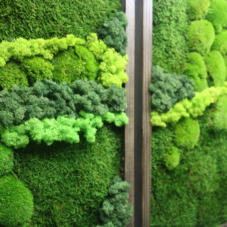 Preserved Moss Wall Art: Handcrafted Natural Frame Decor - Etsy