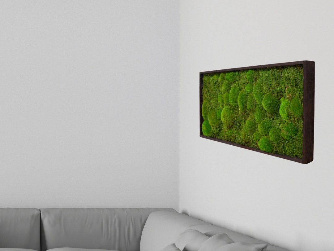 Natural Beauty: Large Moss Wall Art in a Frame Crafted From Pine Wood ...