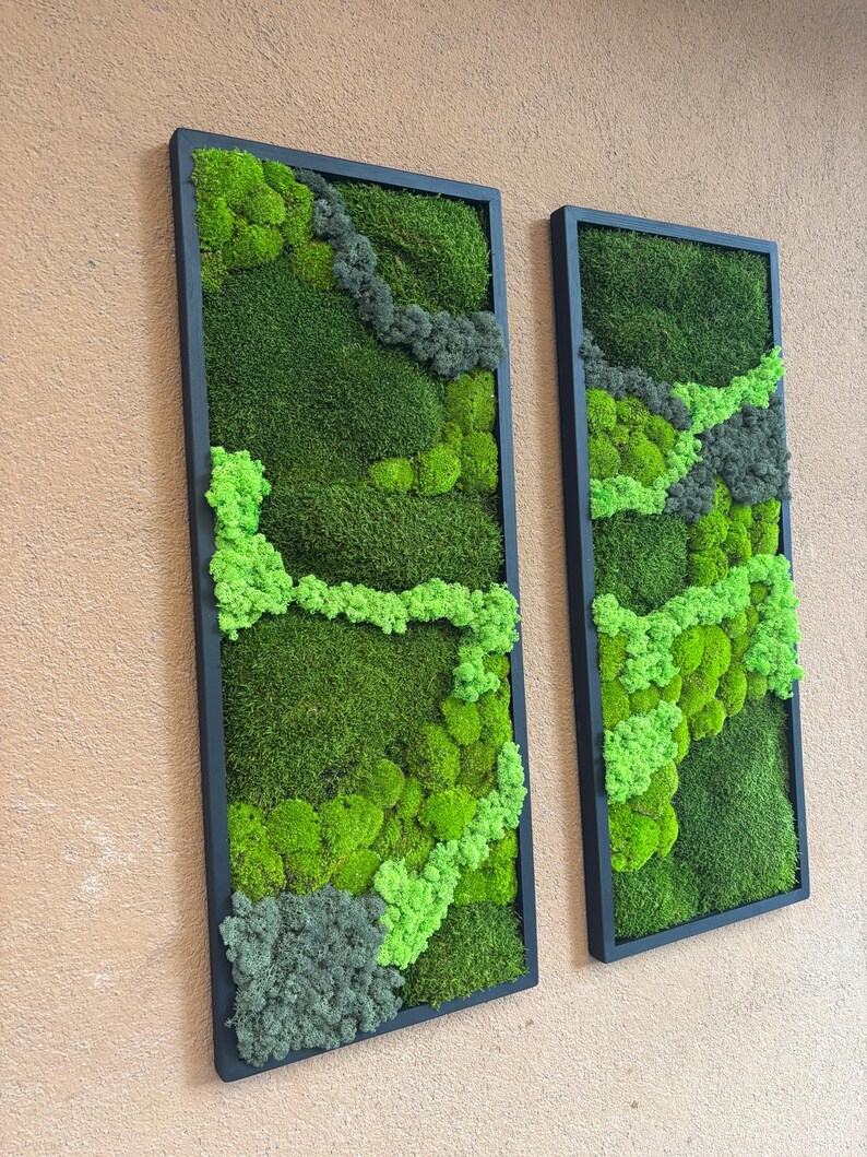 Natural Preserved Moss Wall Decor - Etsy UK