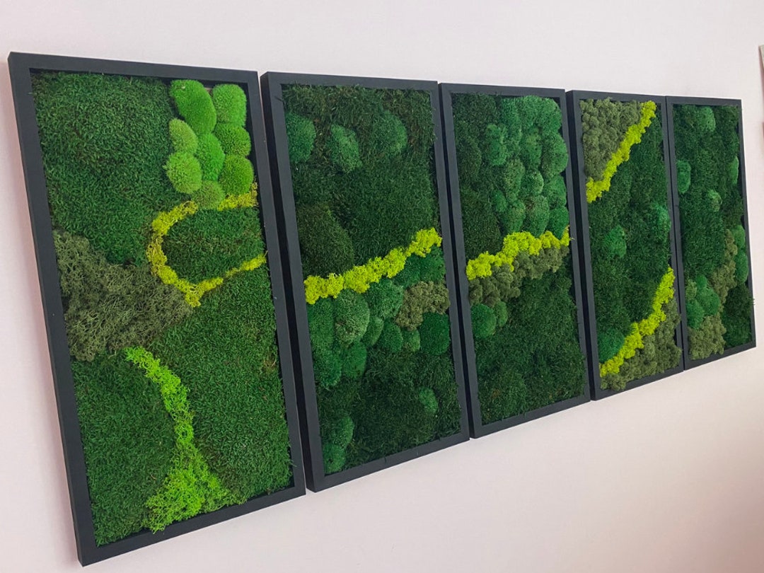 Large Moss Wall Art: Wall Decor Made of Real Moss - Etsy