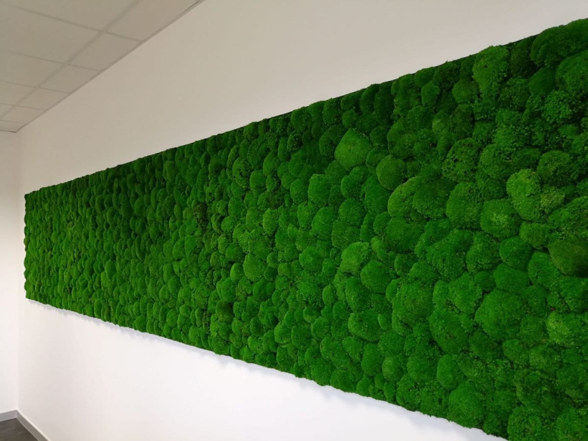 Large Moss Wall Art: Wall Decor Made of Real Moss - Etsy
