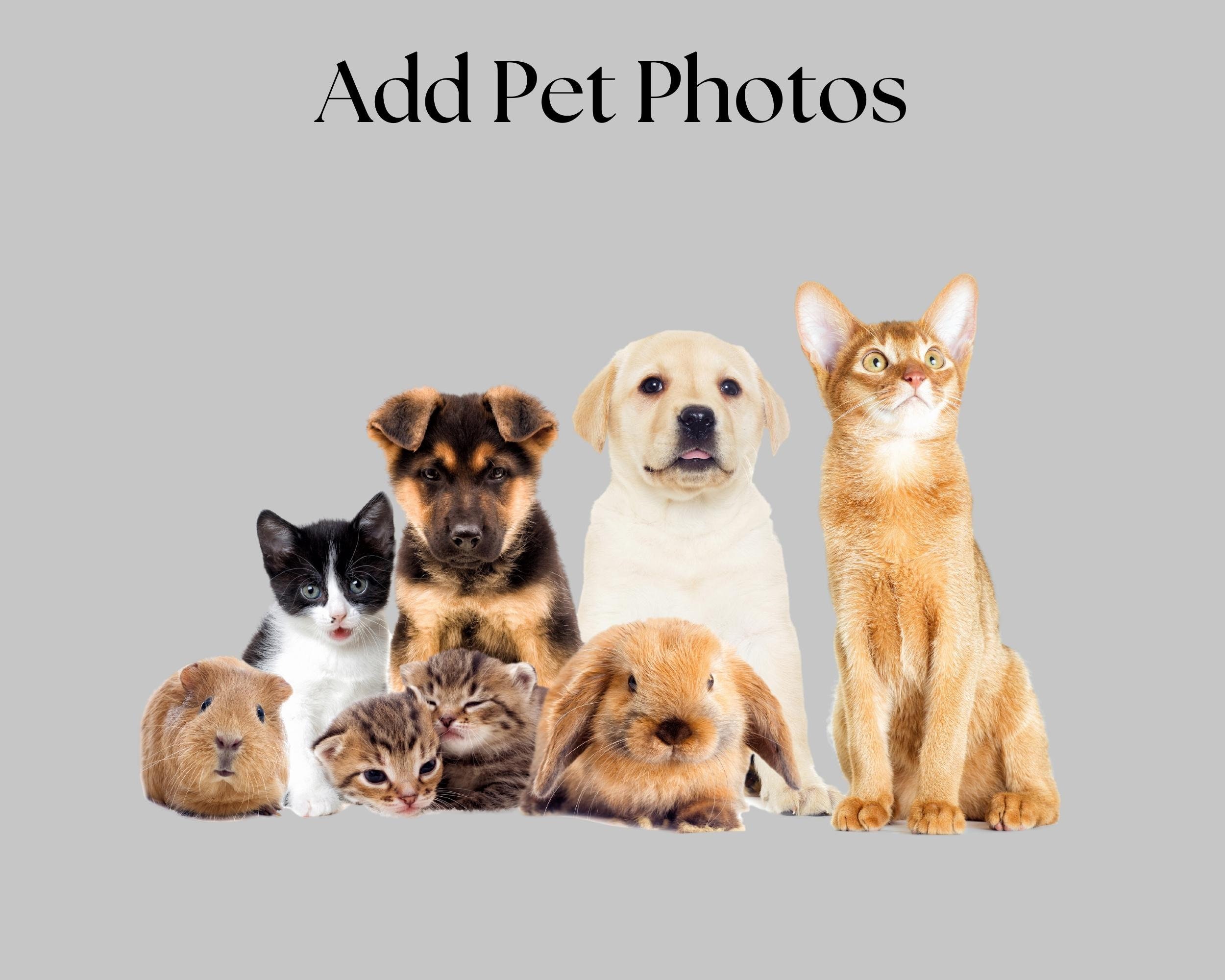 Pet Rental Application - Fillable PDF & Editable in MS Word - Simplify ...
