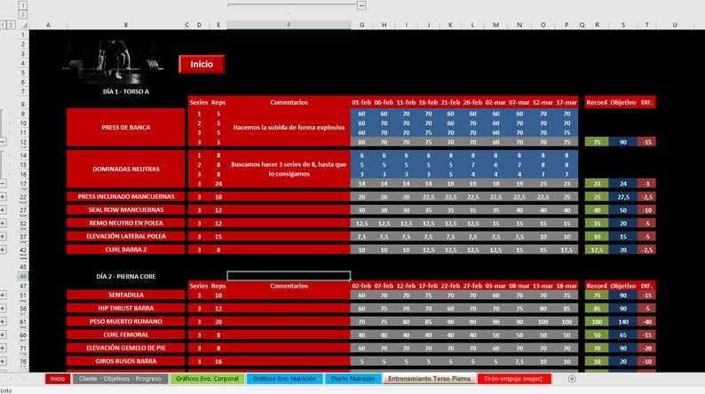 Personal Trainer Excel Template. Includes Training and Nutrition ...