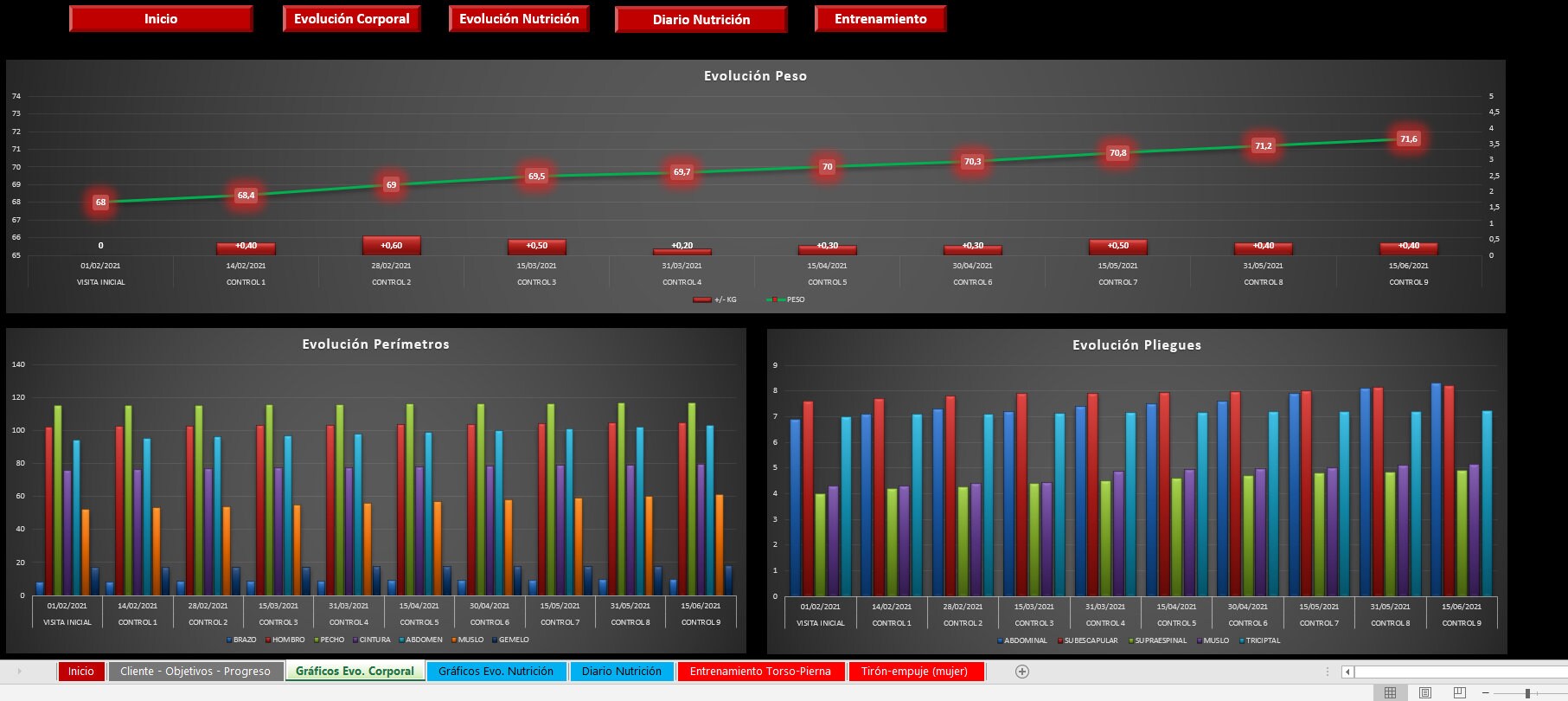 Personal Trainer Excel Template. Includes Training and Nutrition ...