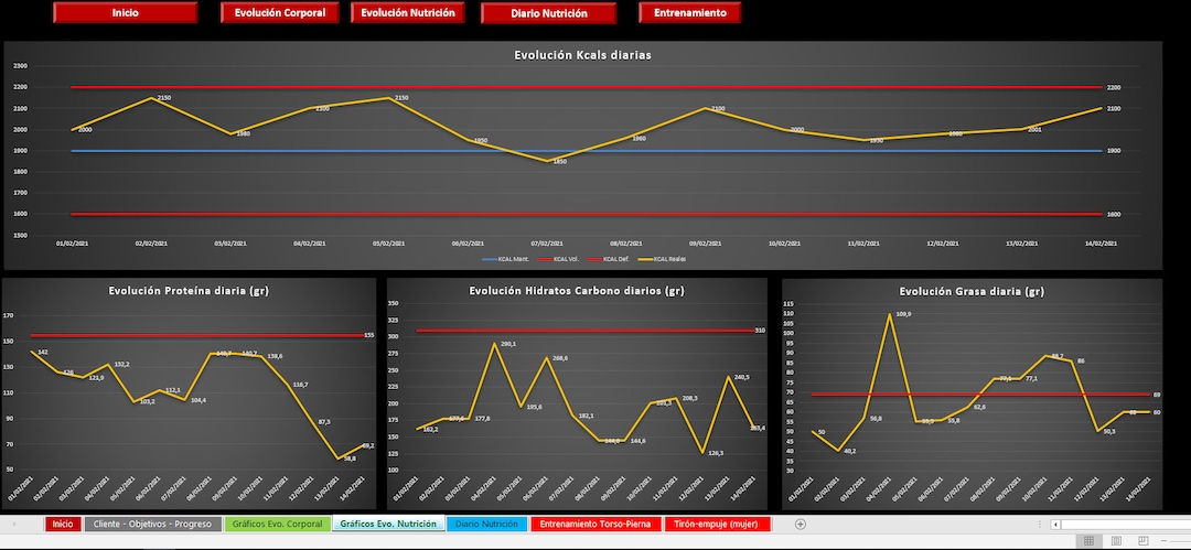 Personal Trainer Excel Template. Includes Training and Nutrition ...